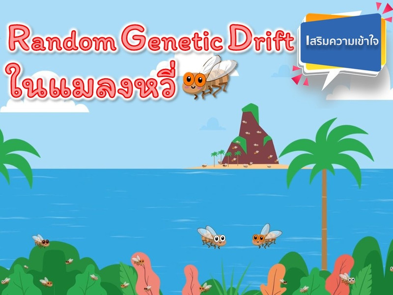วีดิทัศน์ : Random Genetic Drift ในแมลงหวี่