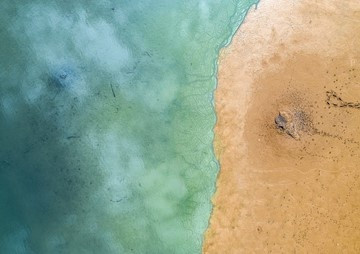 ความสัมพันธ์ระหว่างความเค็มกับอัตราการเจริญเติบโตของ Pedinomonas ...