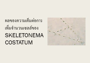 ผลของความเค็มต่อการเพิ่มจำนวนเซลล์ของ SKELETONEMA COSTATUM