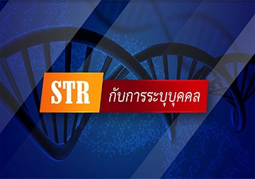 แอนิเมชัน : STR กับการระบุบุคคล